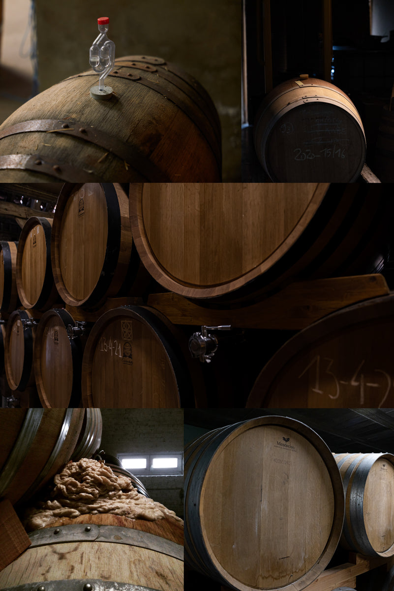 art of fermentation “Lambic” – DIG THE LINE ONLINE STORE